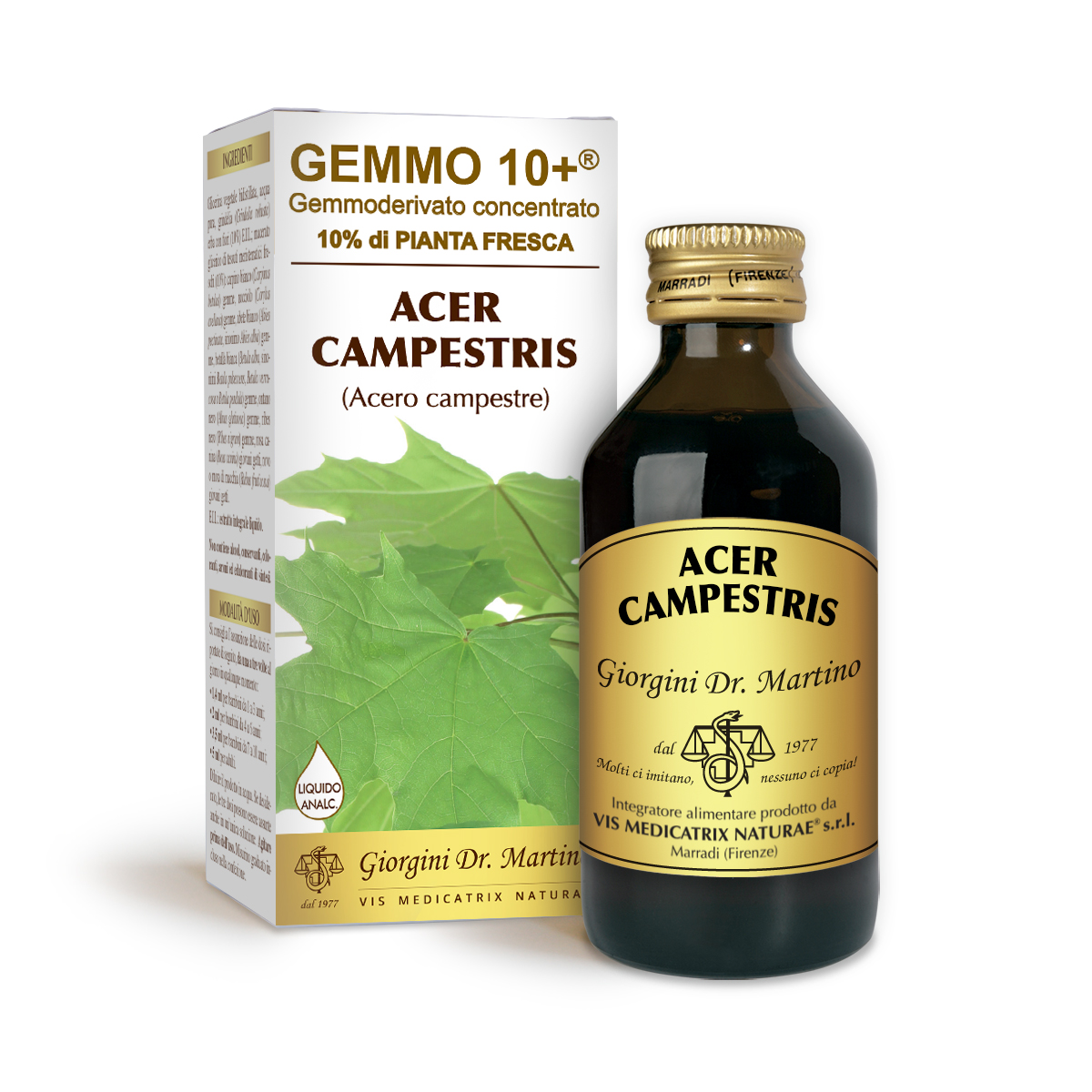 Dr Giorgini Acero Campestre G10+ (Acer campestris) Liquido Analcoolico ...